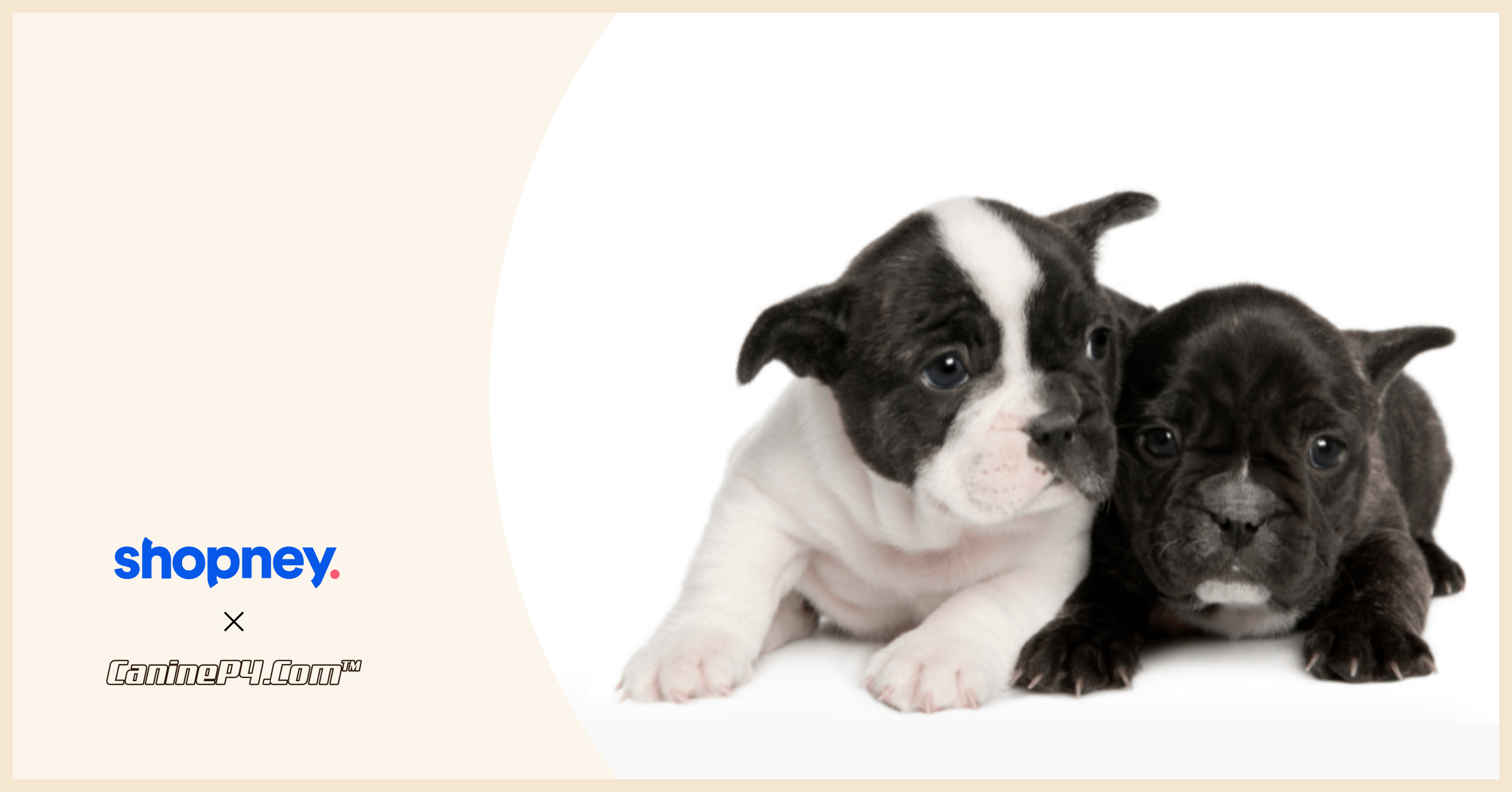 Canine P4 sees 20% increase in conversion after building their mobile ...
